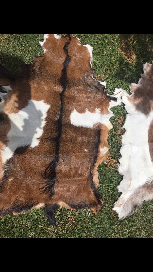 Goat hides
