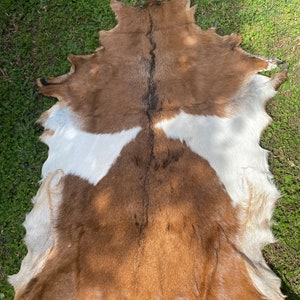 Genuine Goat Skins - Etsy Australia