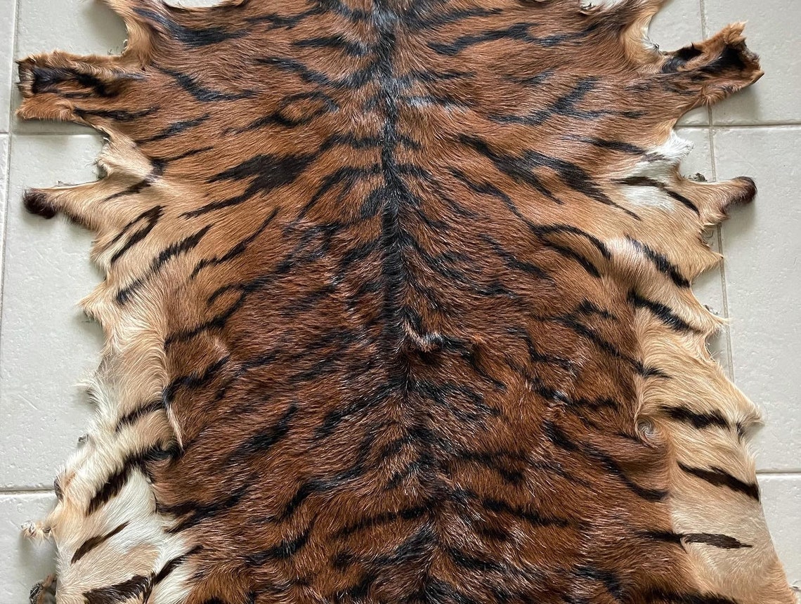 Hand Painted Goat Hide. - Tiger Print. - Etsy
