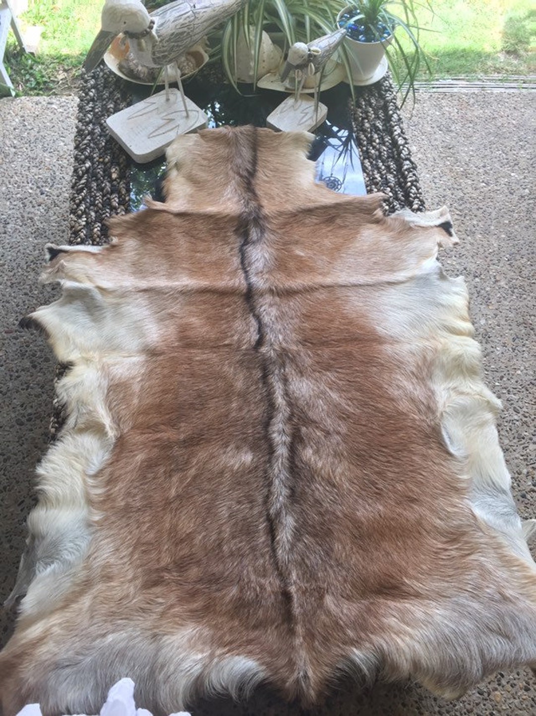 Goat Hides - Etsy
