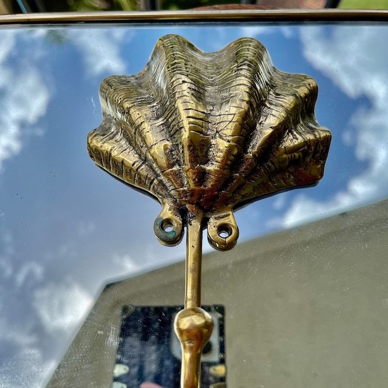 Brass Clam Shell for Wall - Etsy