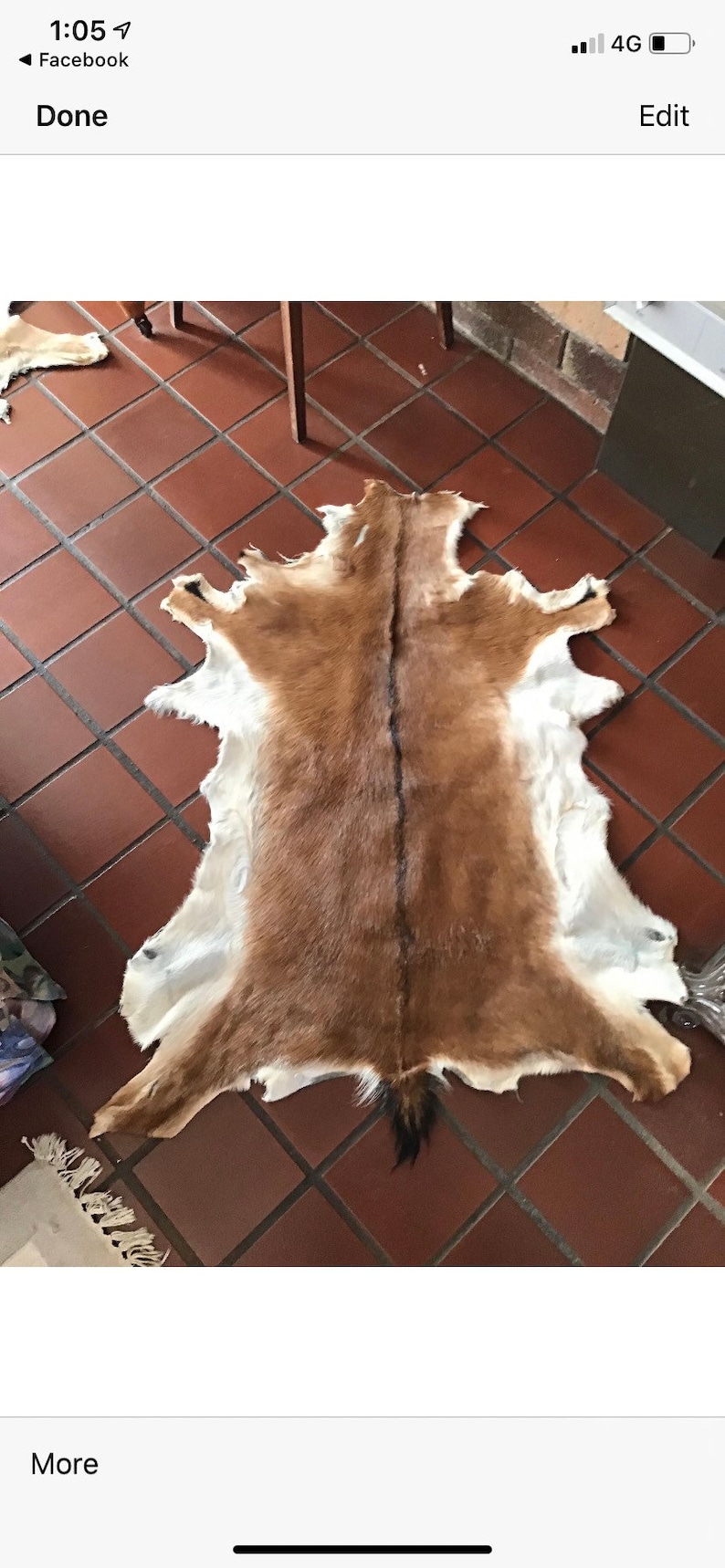 Genuine Goat Skins - Etsy