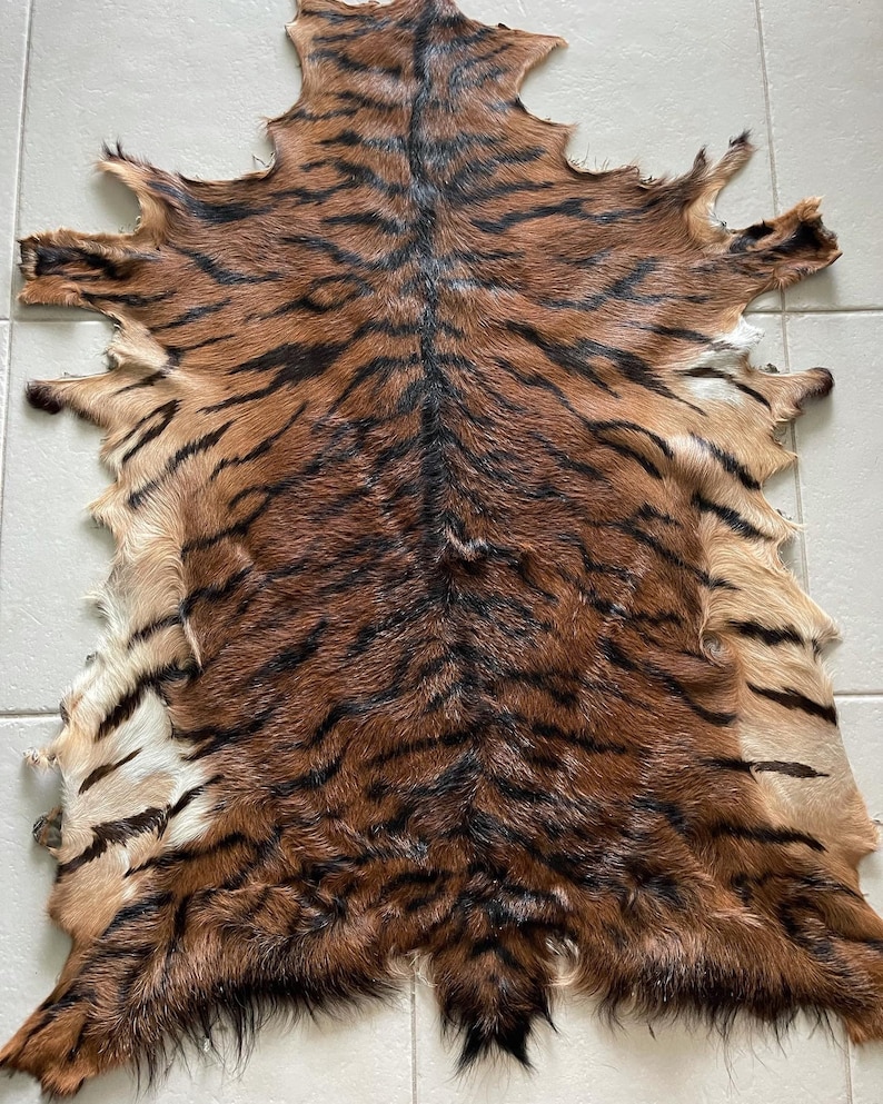 Hand Painted Goat Hide. Tiger Print. - Etsy