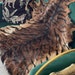 Hand Painted Goat Hide. - Tiger Print. - Etsy