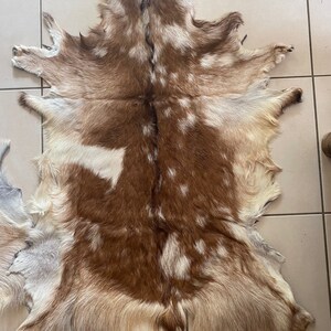 Genuine Goat Skins - Etsy Australia
