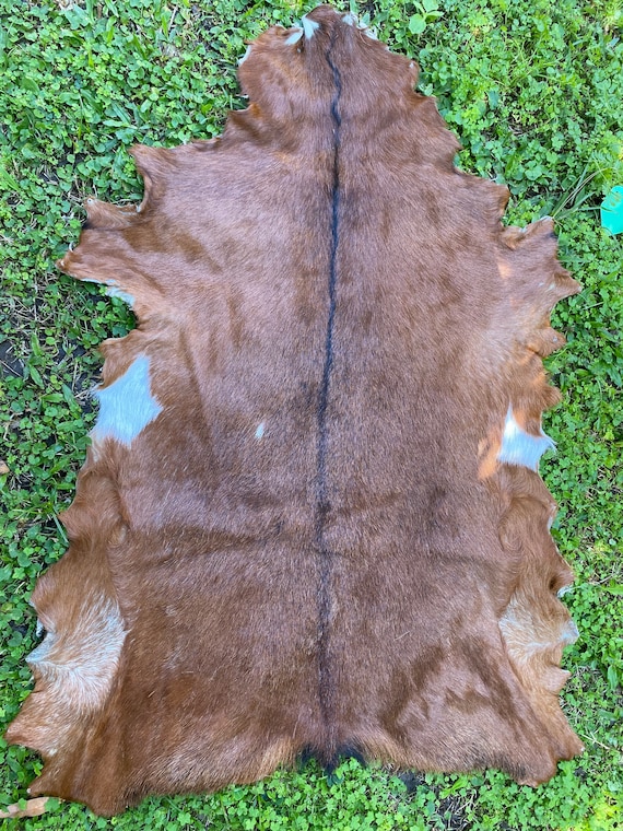 Goat Skin - Etsy