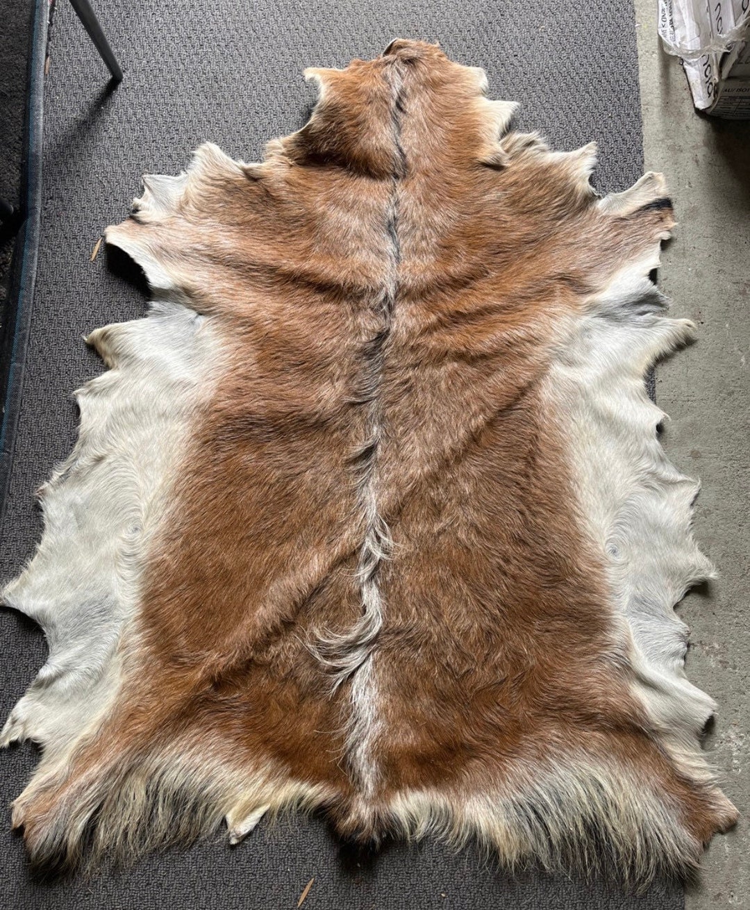 Goat Skin. - Etsy