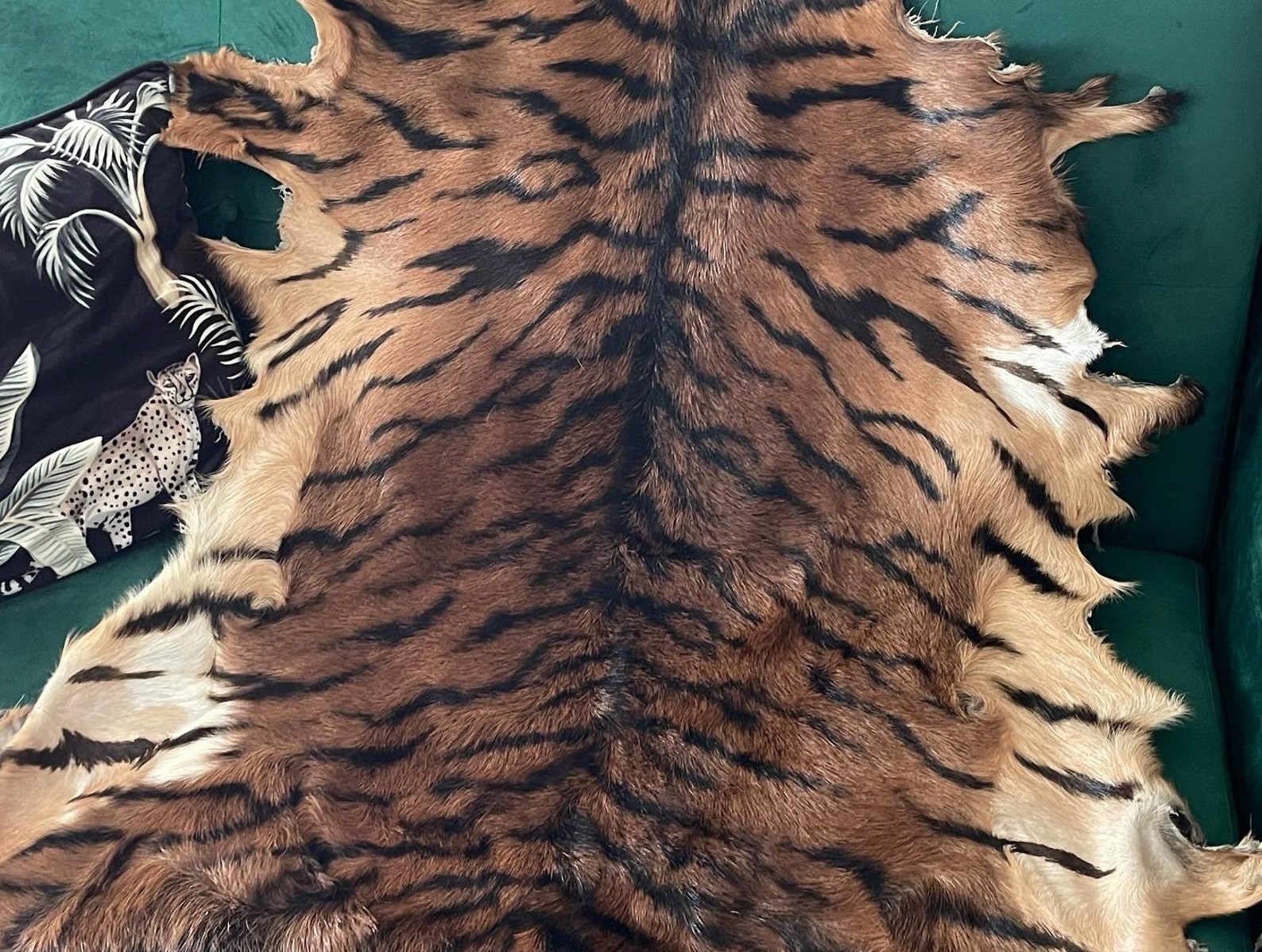 Hand Painted Goat Hide. - Tiger Print. - Etsy