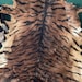 Hand Painted Goat Hide. Tiger Print. - Etsy
