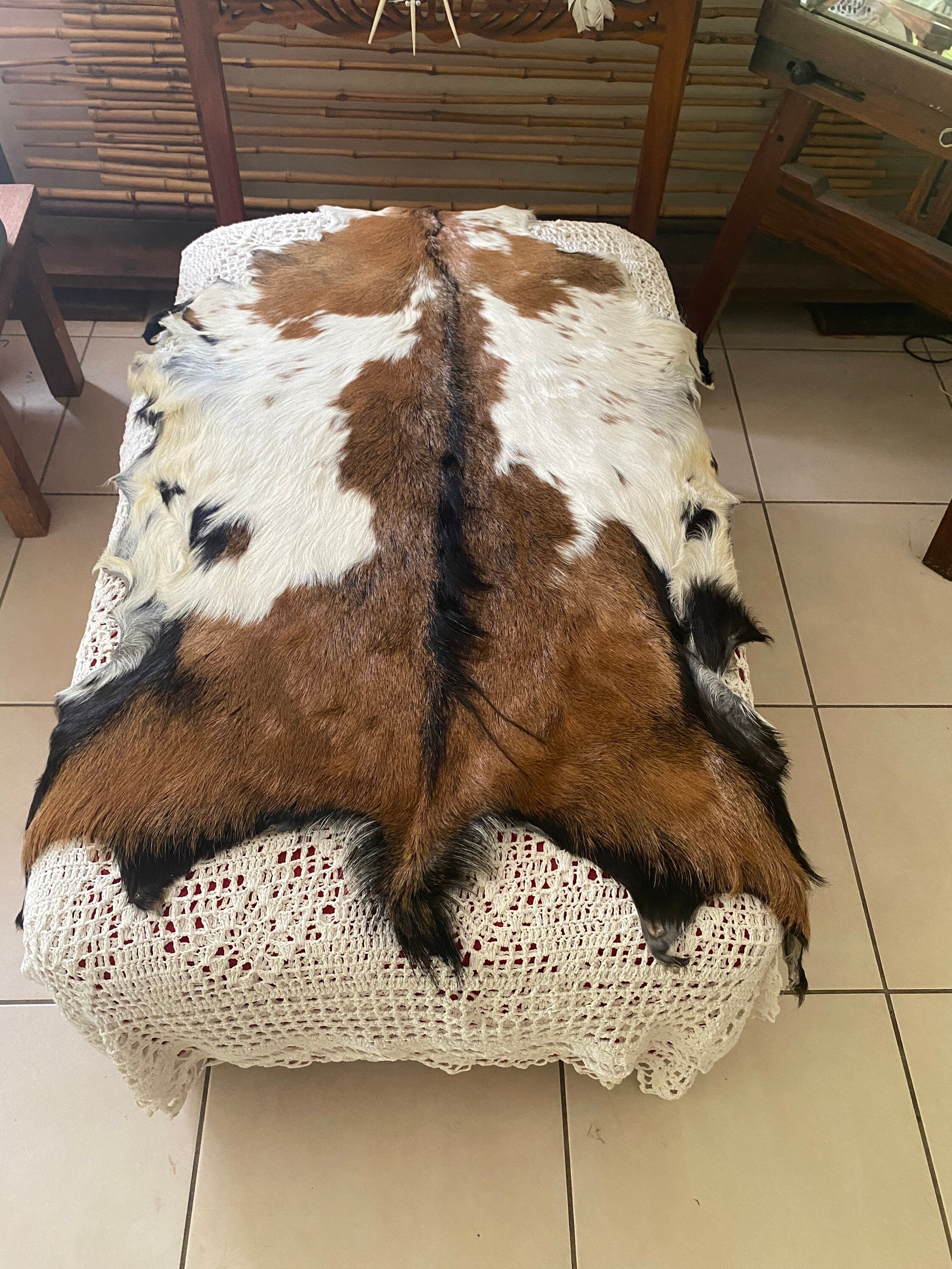 Goat Skin. - Etsy