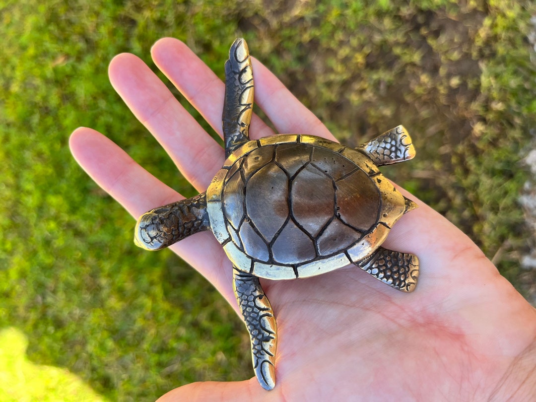 Bronzed Brass Sea Turtle - Etsy