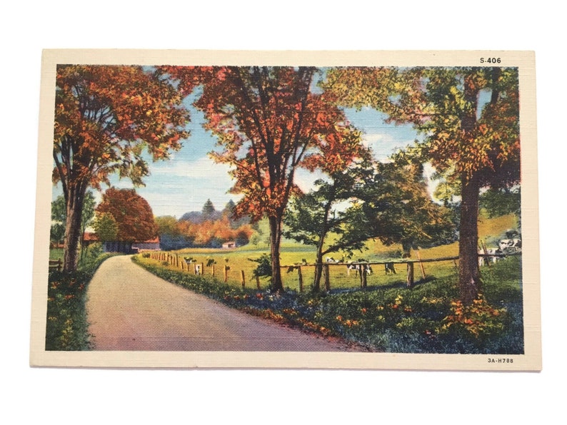 2 Vintage Linen Postcards Country Roads 1950's Souvenir - Etsy