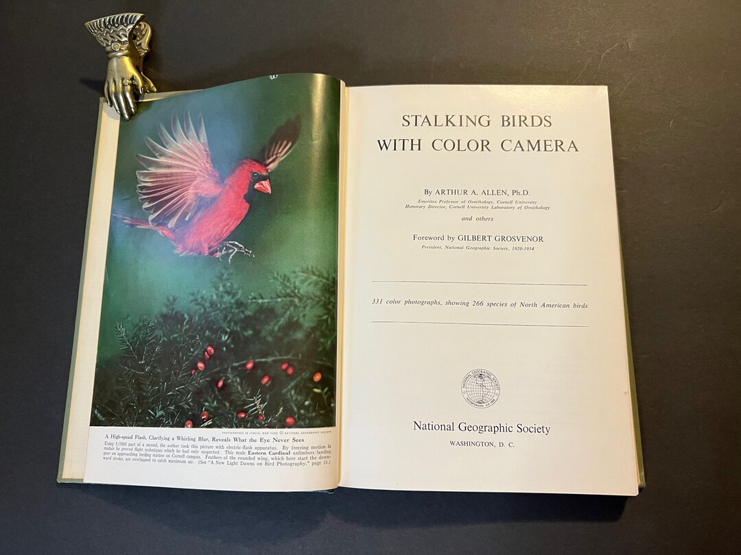 Stalking Birds With Color Camera Book Arthur Allen National - Etsy