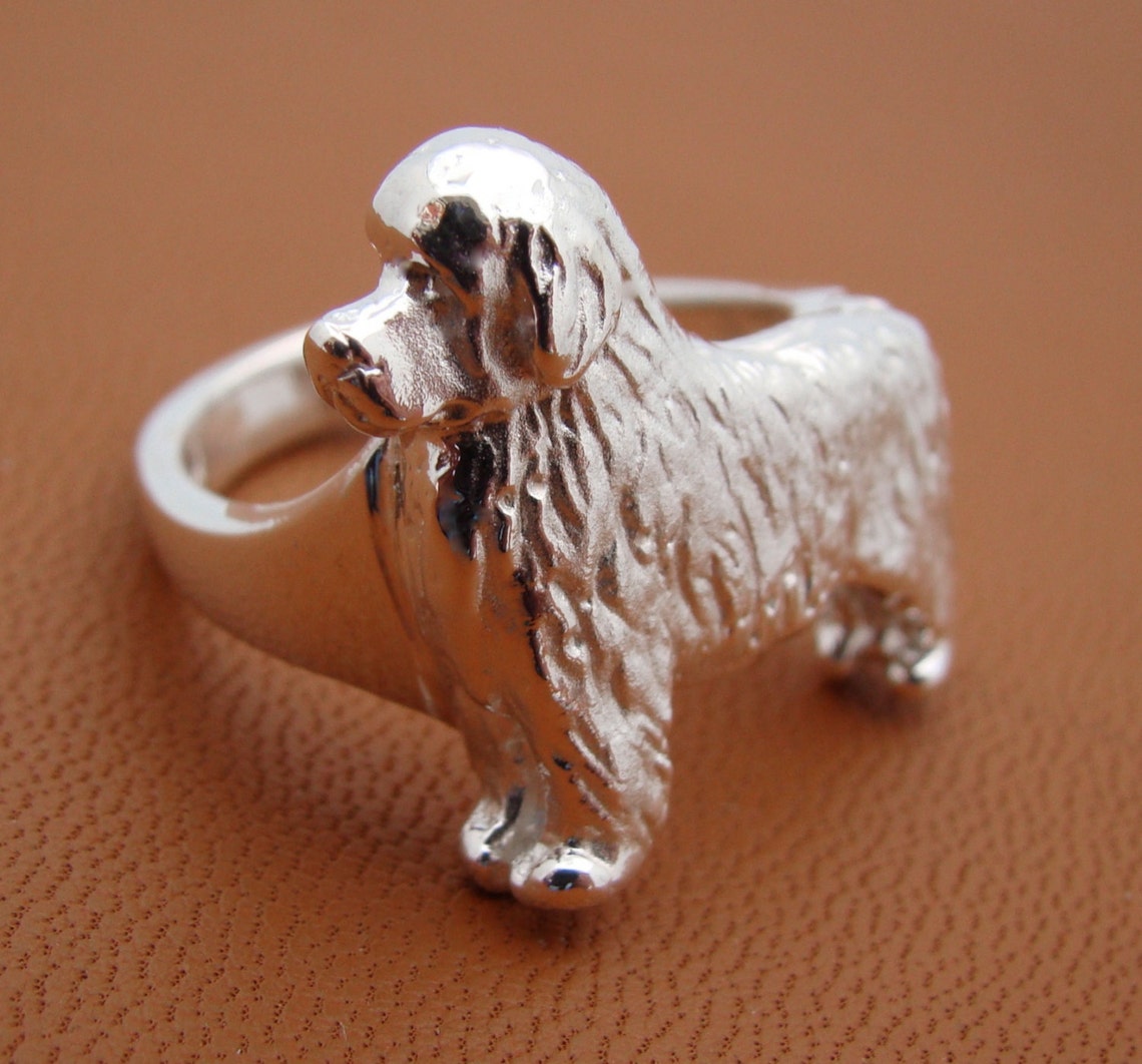 Sterling Silver Newfoundland Standing Study Ring | Etsy
