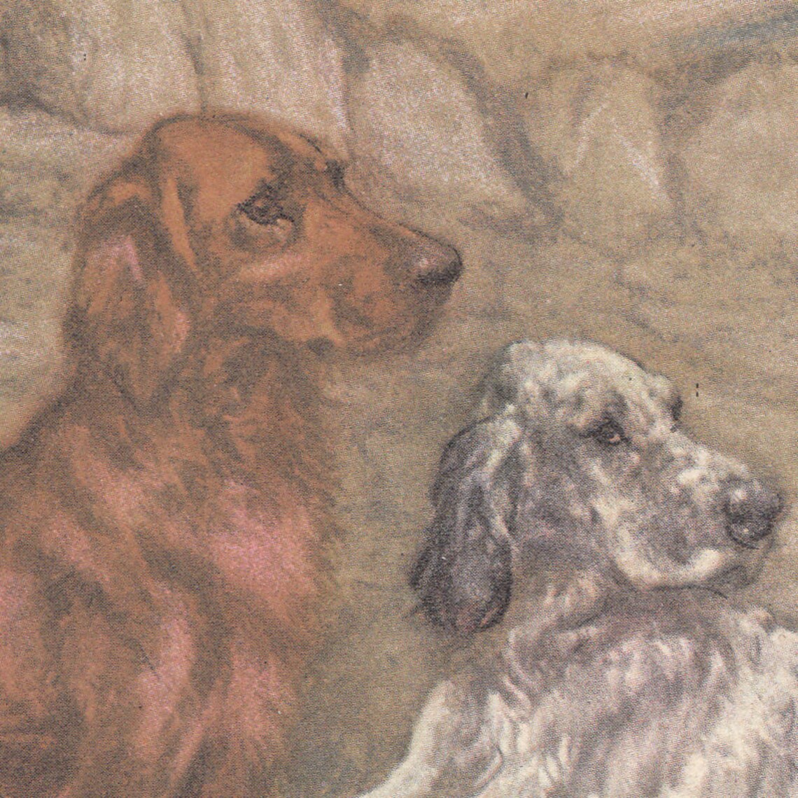 Setters Vintage Dog Print George Vernon Stokes Original 1947 - Etsy