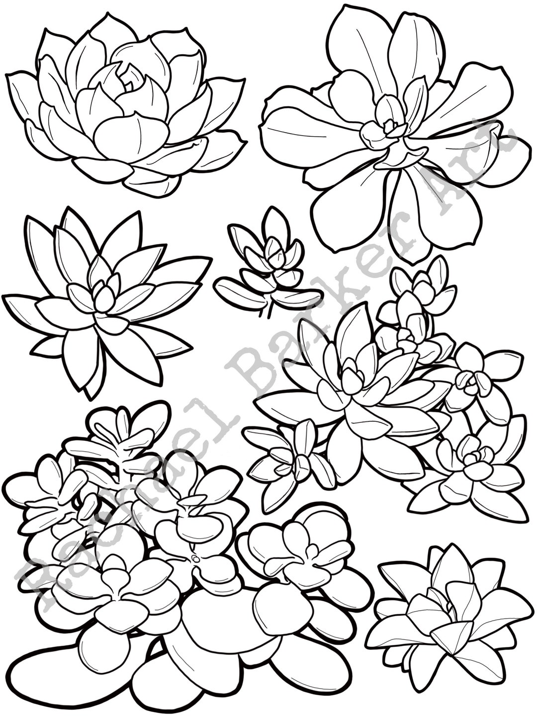 Succulent Flower Line Drawing PNG Digital Download Cricut Glowforge - Etsy