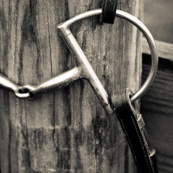 Equine Bit Decor - Etsy
