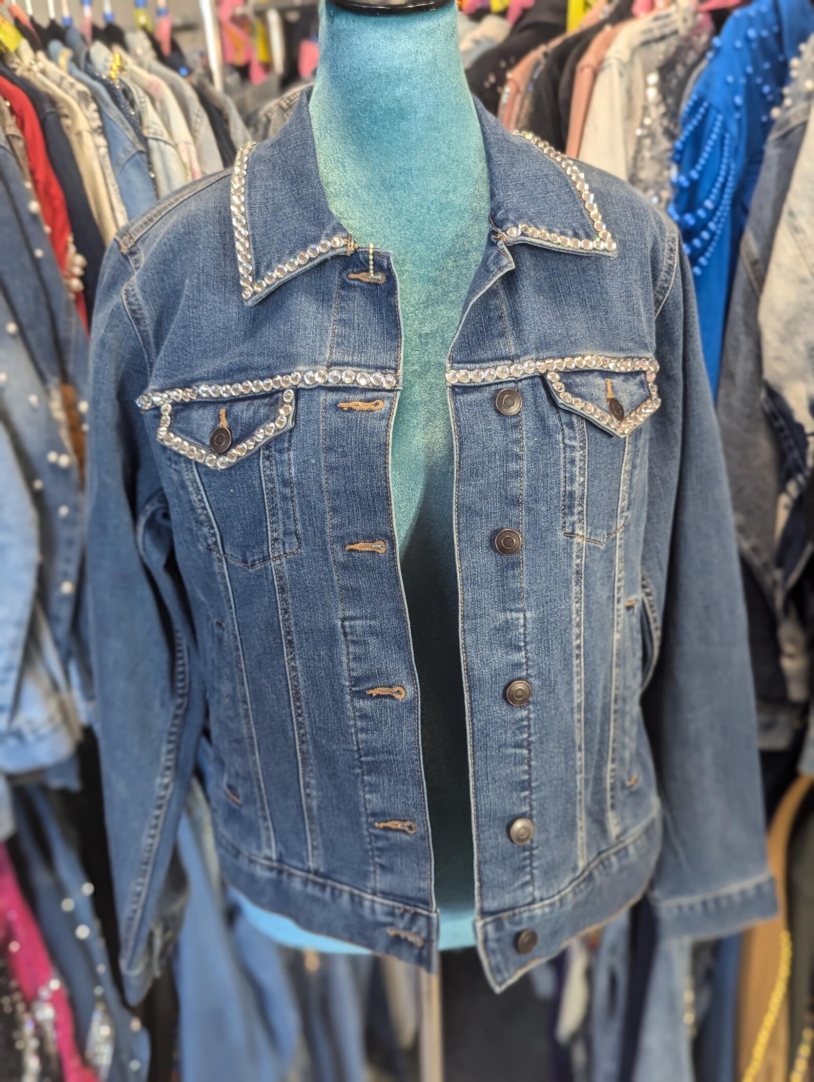 Swan Crown With Pink Details on a Med Blue Denim Jacket. Embellished ...
