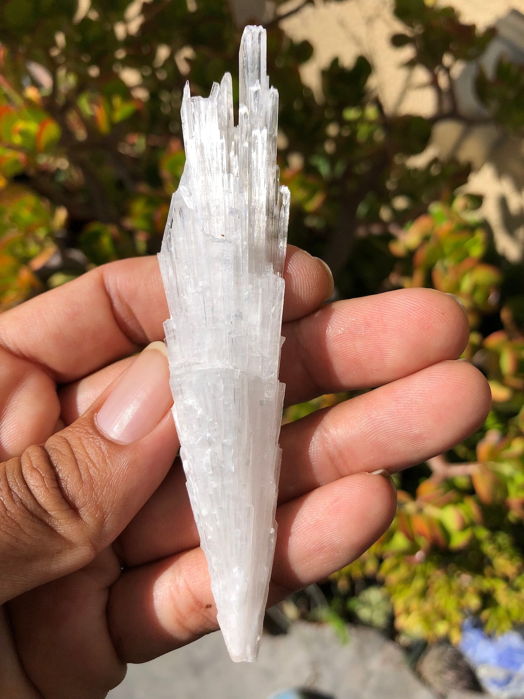 Large Clear Scolecite Spray From India. Zeolite Crystal Spray With a ...