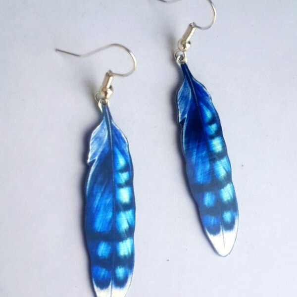 Blue Jay Feathers - Etsy