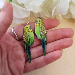 Budgie Parakeet Parrot Green Blue Cute Bird Animal Wildlife Nature Birb ...