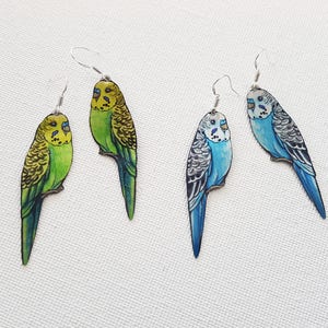 Budgie Parakeet Parrot Green Blue Cute Bird Animal Wildlife Nature Birb ...