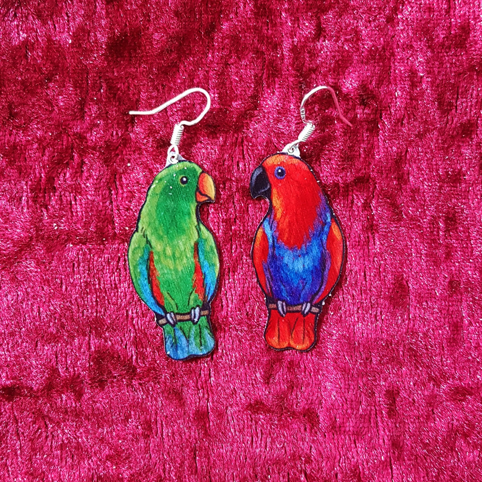 Eclectus Roratus Exotic Parrot Cute Bird Animal Wildlife - Etsy