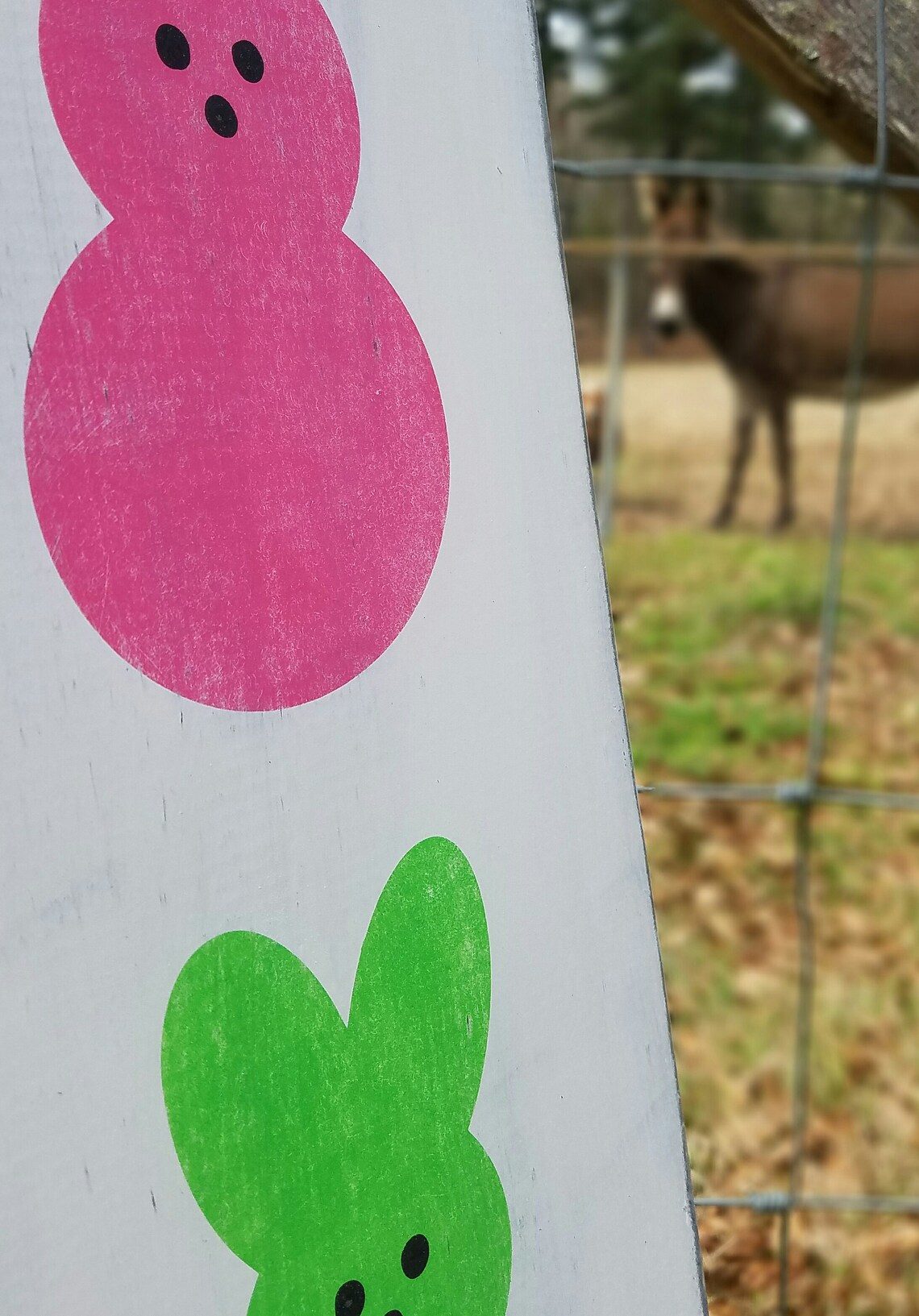 Hello Peeps Easter Sign Welcome Peeps Sign Easter Porch - Etsy