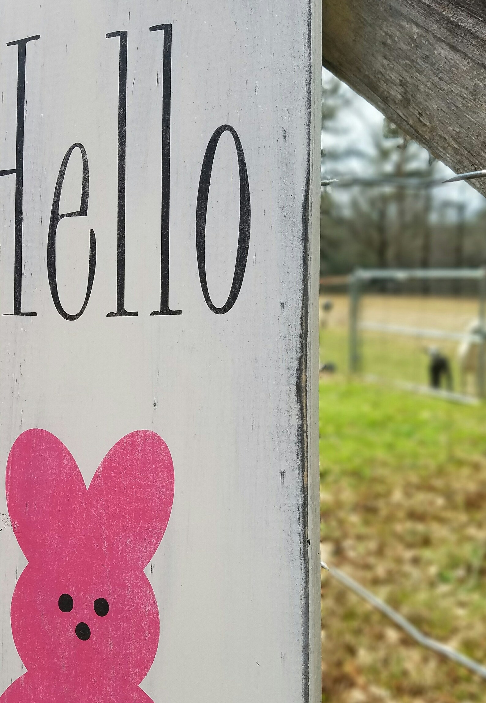 Hello Peeps Easter Sign Welcome Peeps Sign Easter Porch - Etsy