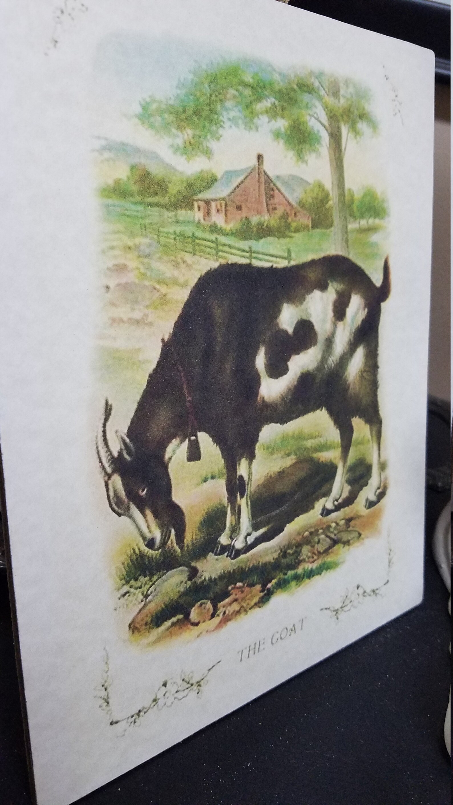 Goat Rustic Vintage Style Print Farmhouse Sign Plaque Wood Sign ...
