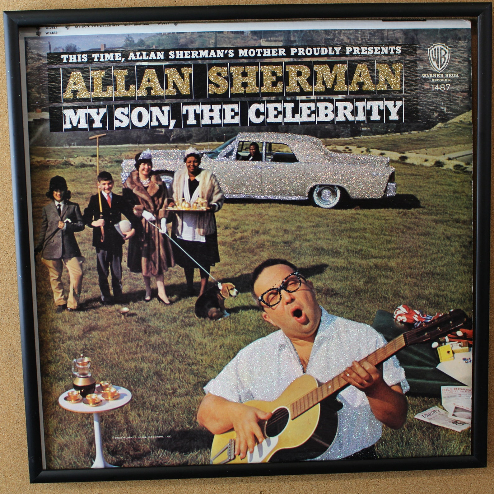 Glittered Record Album - Allan Sherman - My Son, the Celebrity - Etsy