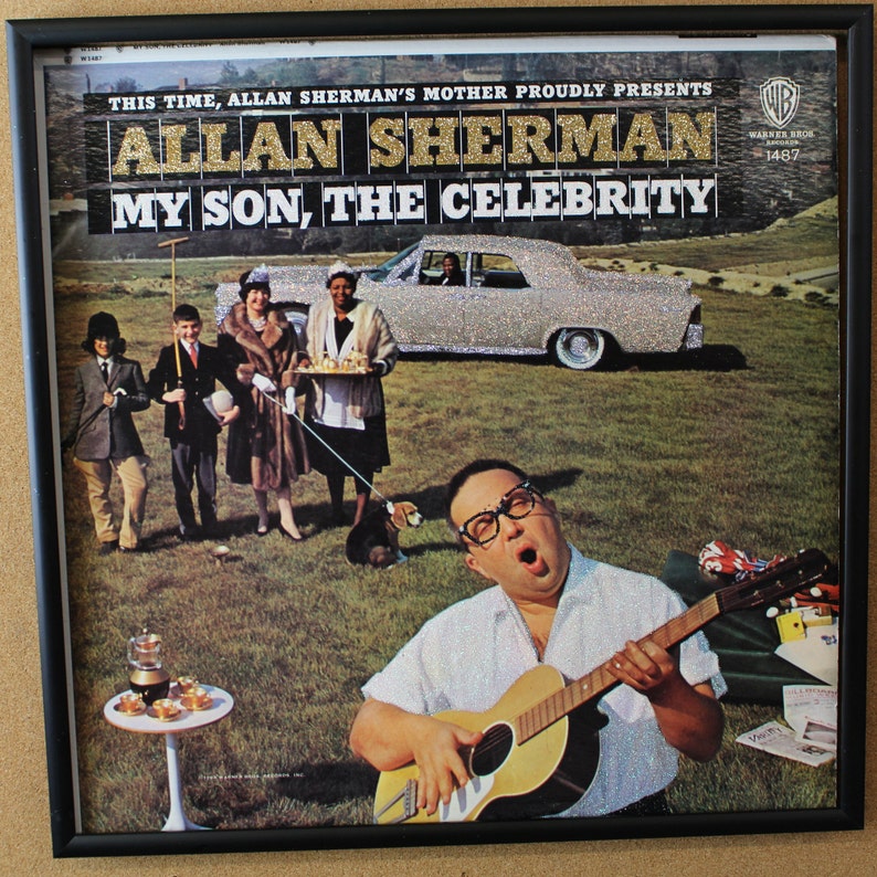 Glittered Record Album - Allan Sherman - My Son, the Celebrity - Etsy