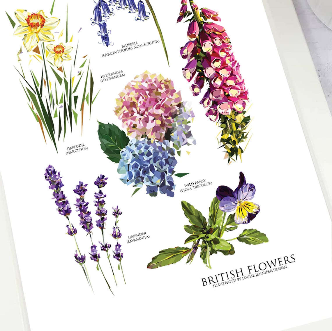 A4 BRITISH FLOWERS Print Nature Lover British flowers | Etsy