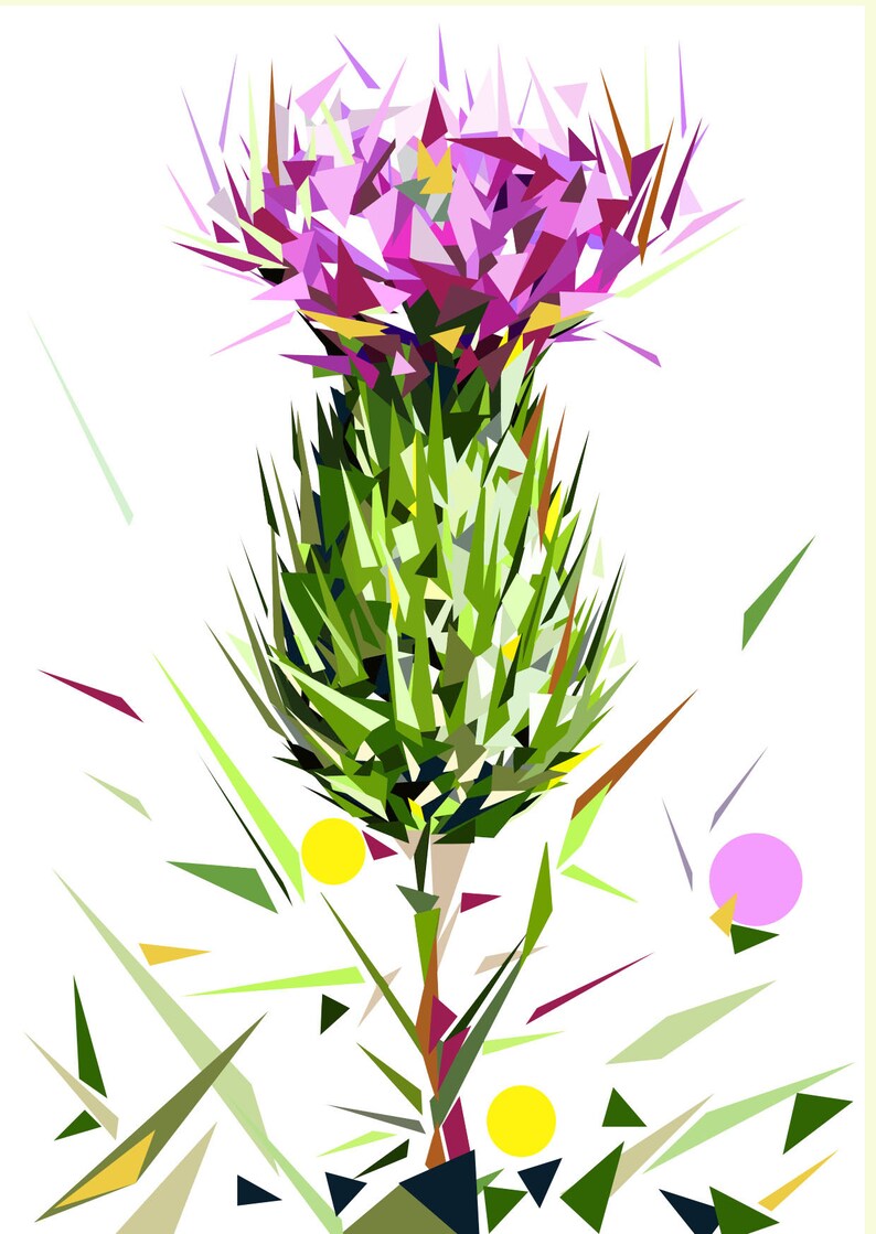 British Flowers Print: Floriography Art, Nature Illustration (A3) - Etsy UK