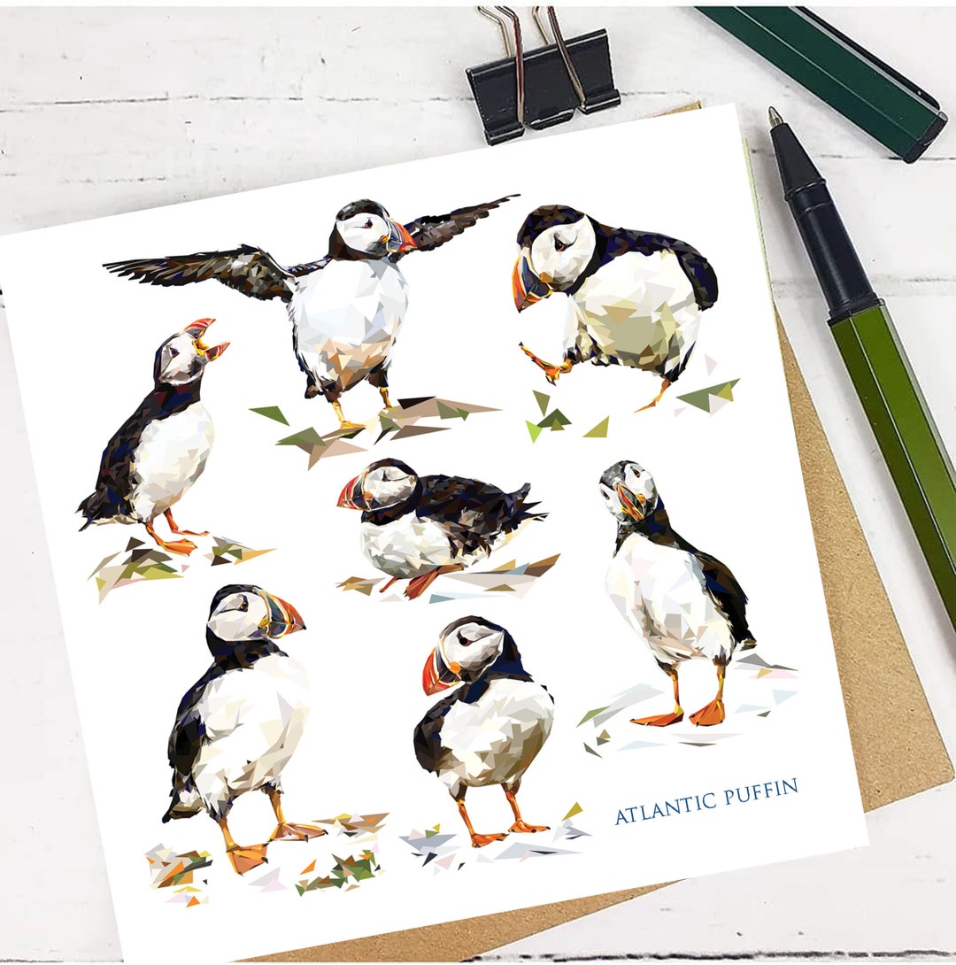 ATLANTIC PUFFIN MIX Greeting Card - Blank Card - Scottish Wildlife ...