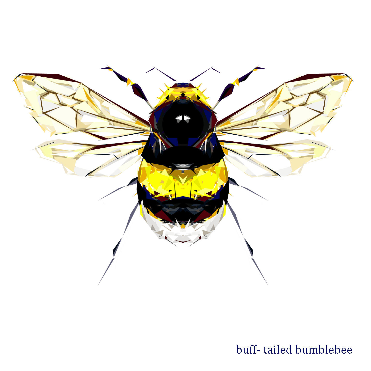 A4 BRITISH BEES Print Nature Lover Bee art wildlife | Etsy