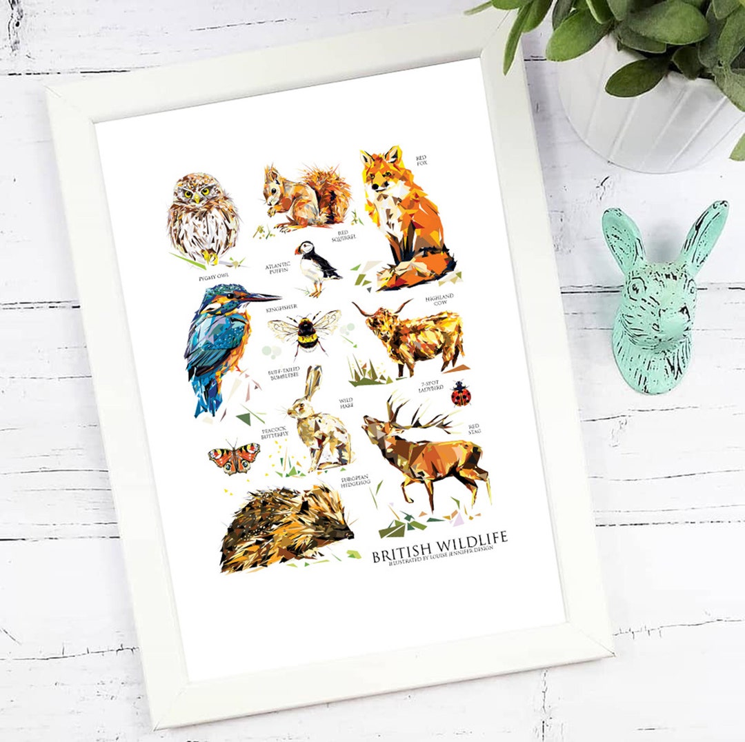 SALE - A4 BRITISH Wildlife Print - Nature Lover - British Wildlife ...