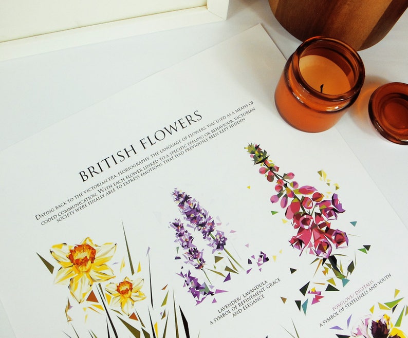 British Flowers Print: Floriography Art, Nature Illustration (A3) - Etsy UK