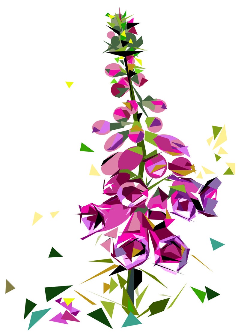 British Flowers A3 Print Floriography Symbolism Nature - Etsy UK