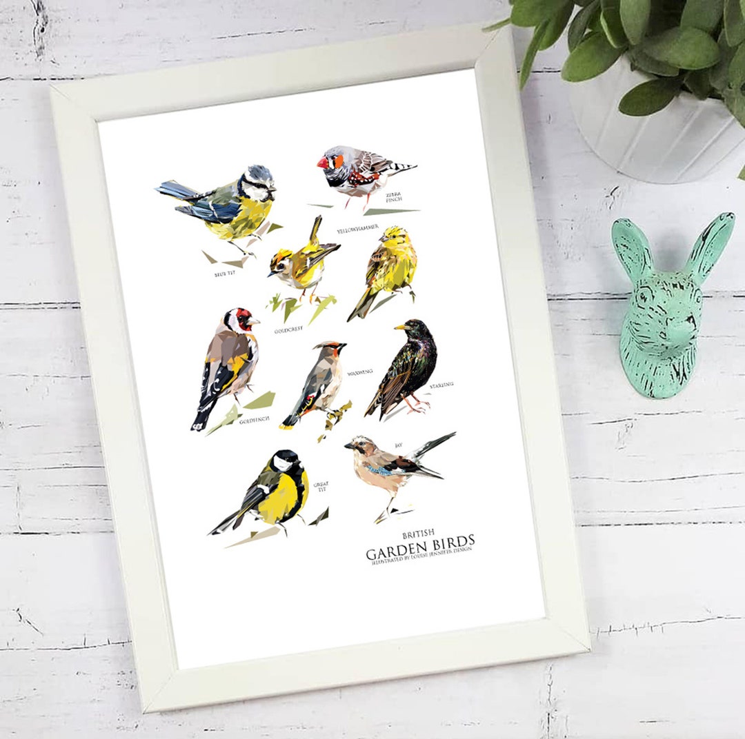 A3 British Garden Birds Print Nature Lover Wildlife British animals ...
