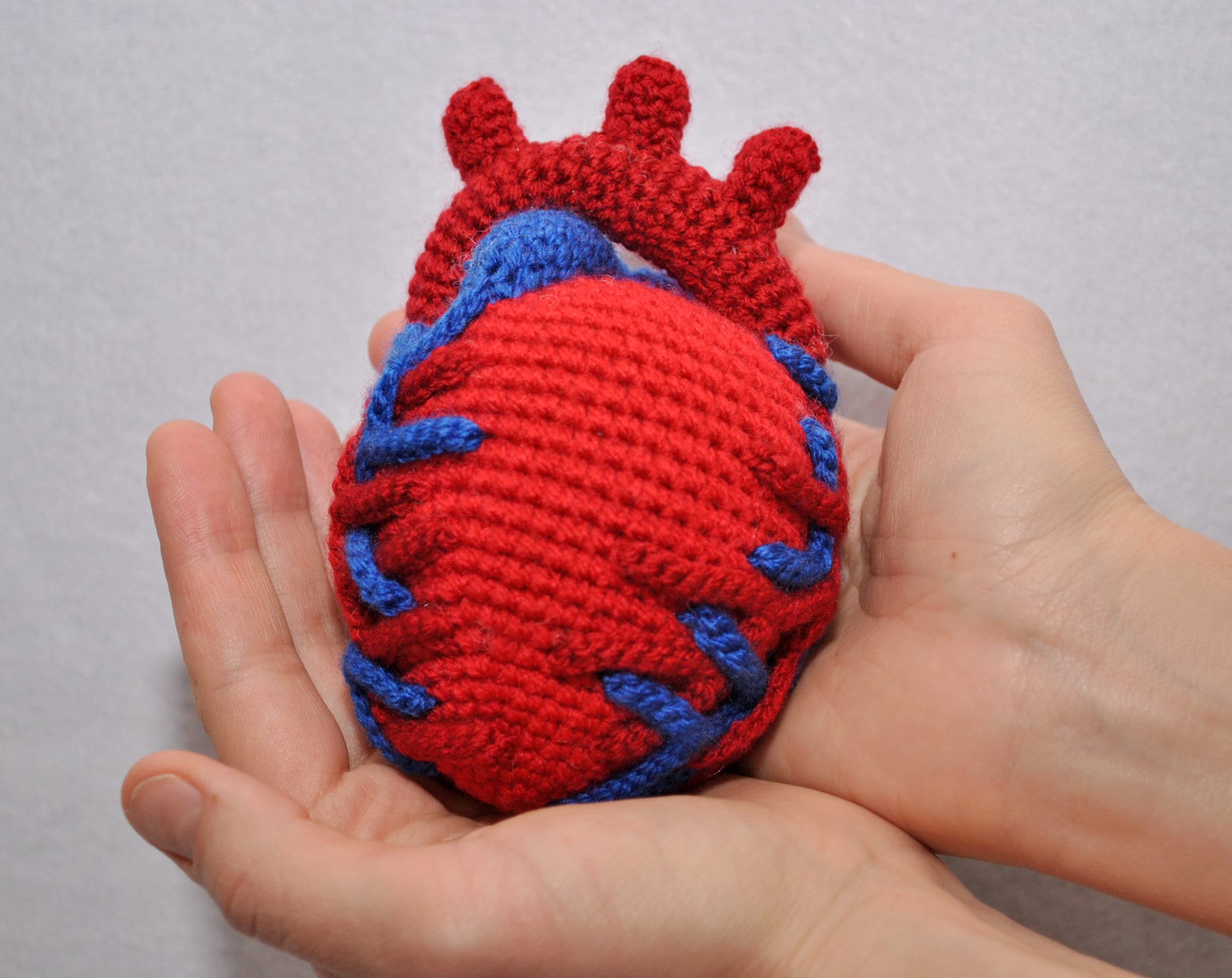 Crochet PATTERN Anatomical Heart crocheted heart PDF | Etsy