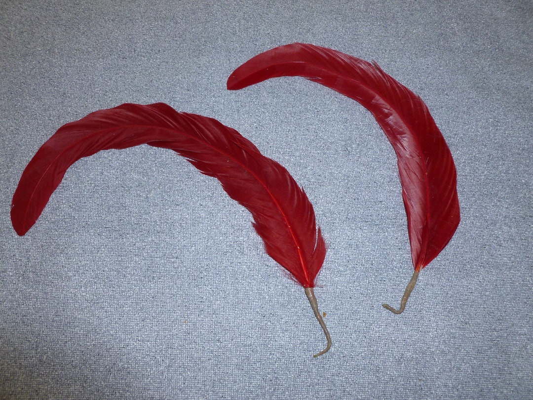 Pair of ANTIQUE Feather Plumes Dark Red VINTAGE MILINERY Feathers Hat ...