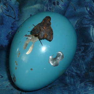 Figural Tape Measure - Etsy