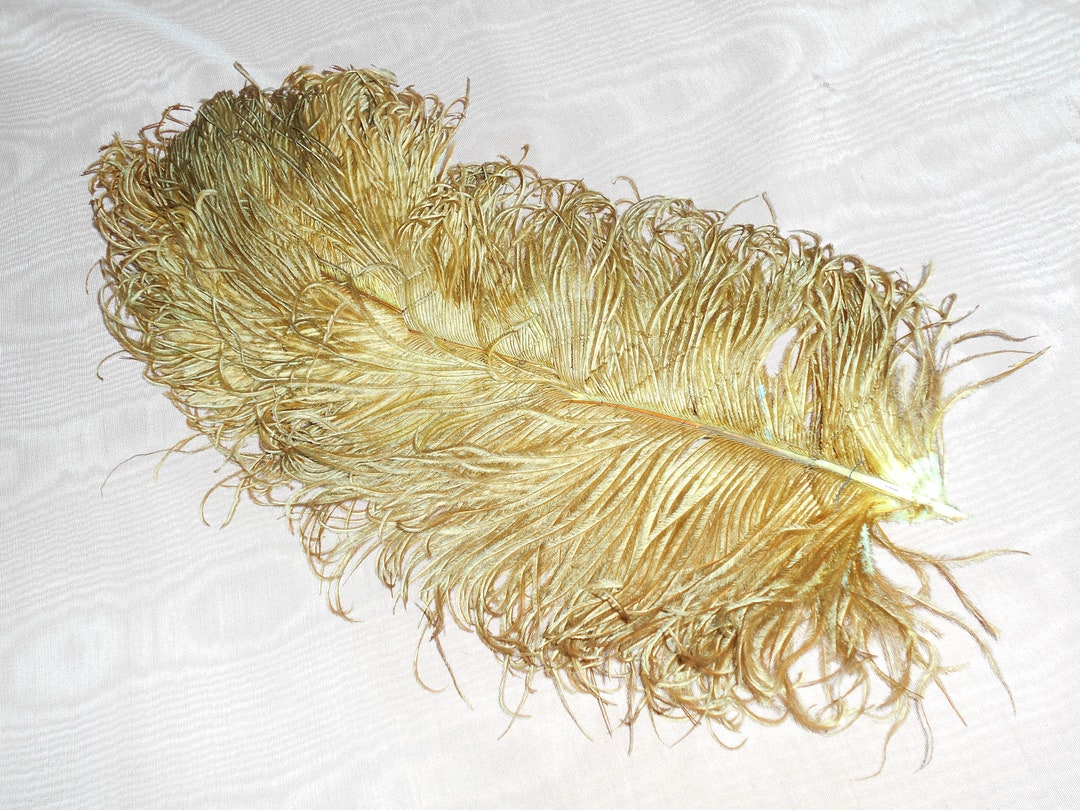 Large ANTIQUE Ostrich Feather Plume Amber/gold VINTAGE MILINERY ...