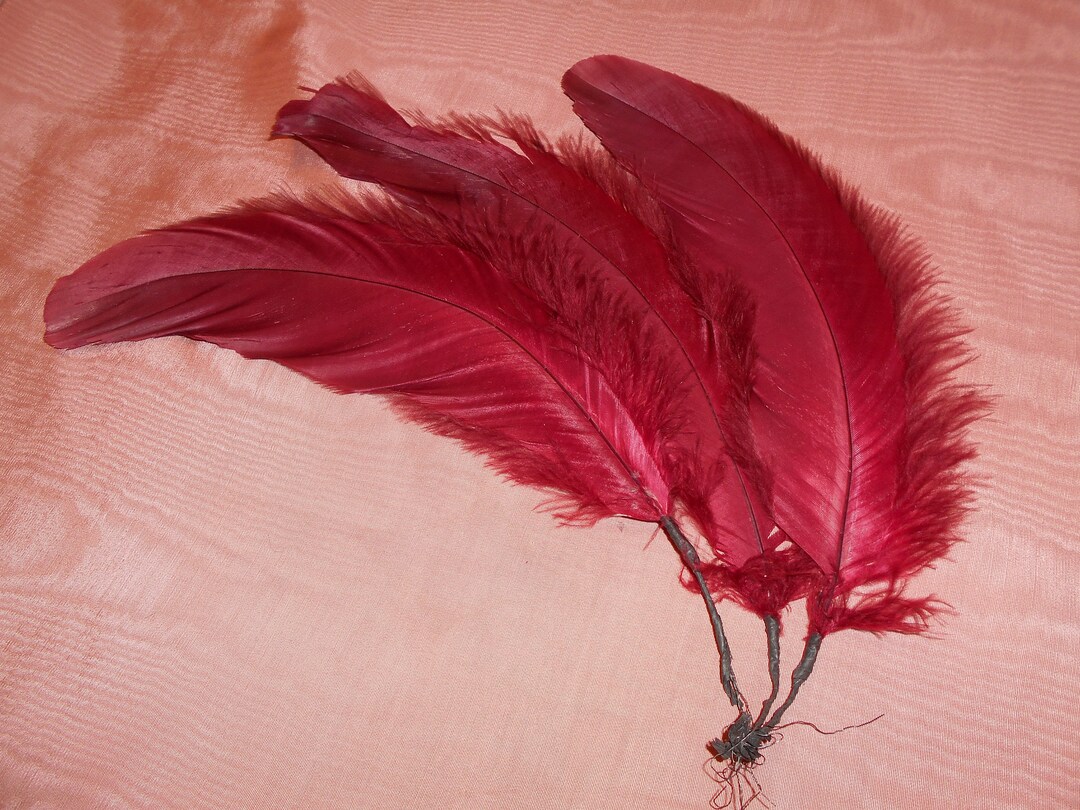 ANTIQUE Feather Plumes Dark Red VINTAGE MILINERY Feathers Hat -flapper ...