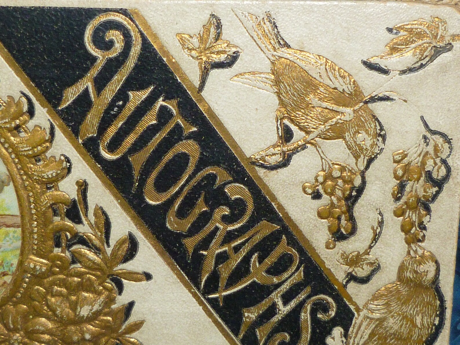 Antique Victorian Autograph Book-miss Hilma Mary Johnson of Norway ...