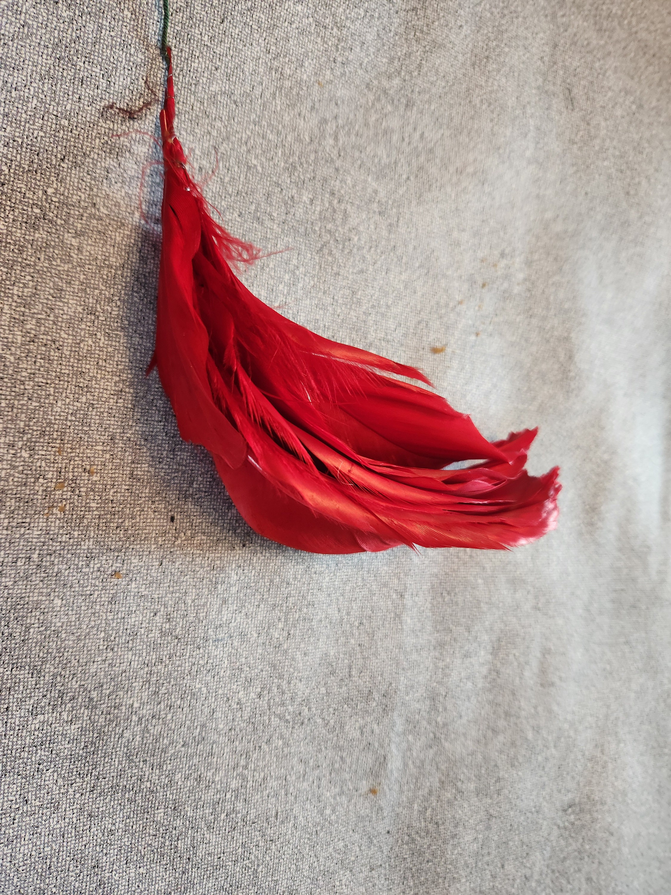 Lot of ANTIQUE Feather Plumes Red VINTAGE MILINERY Feathers Hat ...