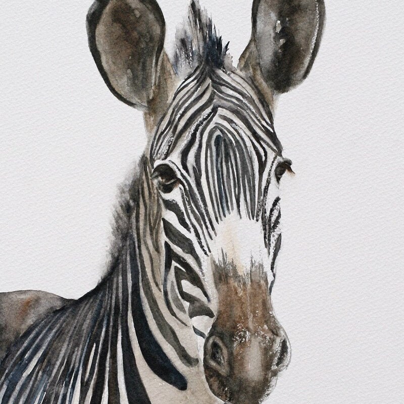 Zebra Watercolor - Etsy