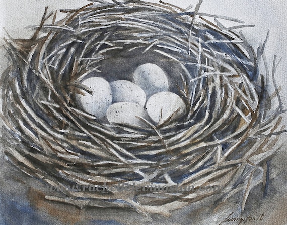 Art PRINT of Bird Nest. Watercolor Painting of Bird Nest. | Etsy