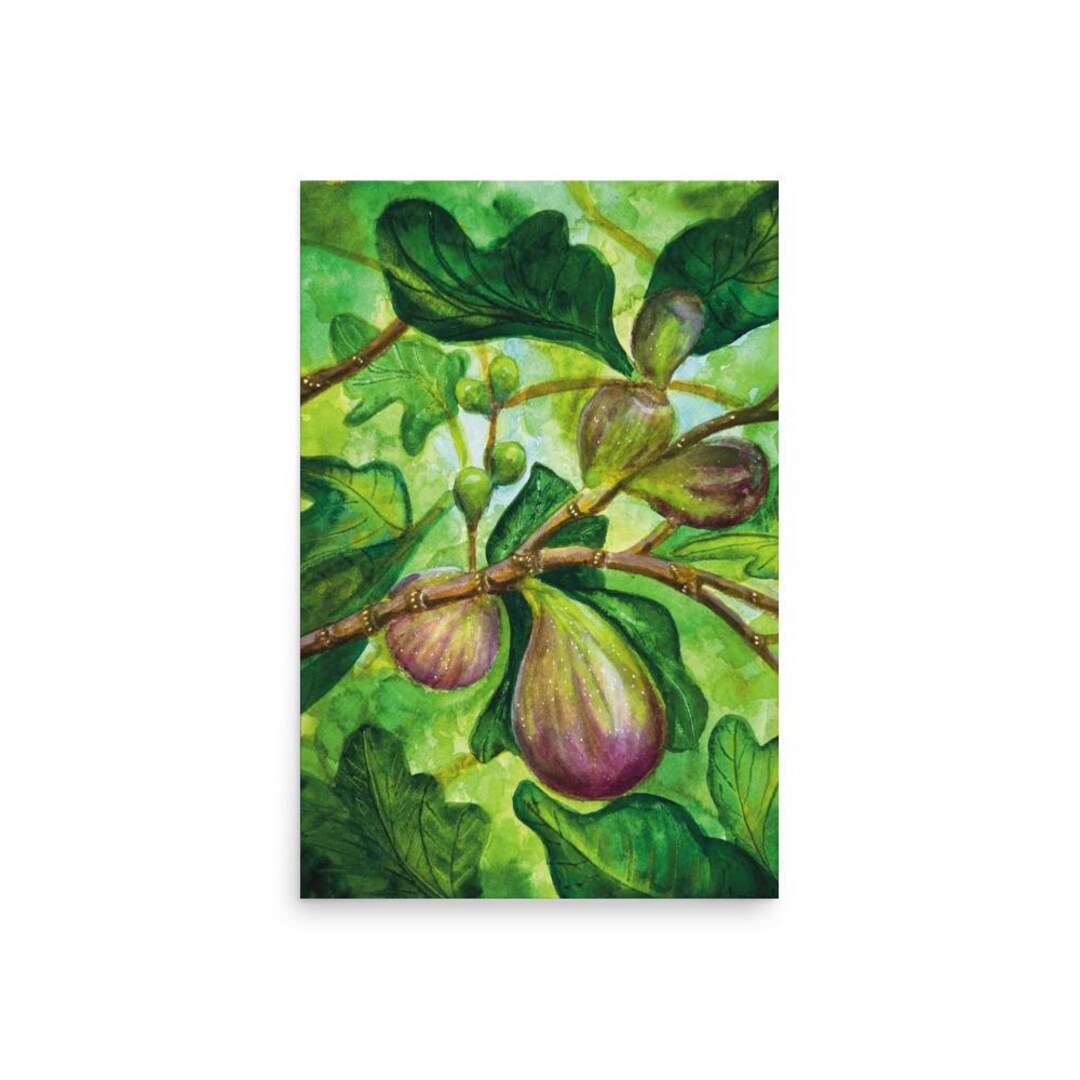 Fig Frruit Tree Wattercolor Wall Art Print Kitchen Decor Organic Cooks ...